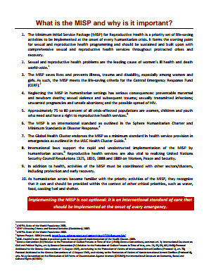 What is the MISP and why is it important? | Women's Refugee Commission